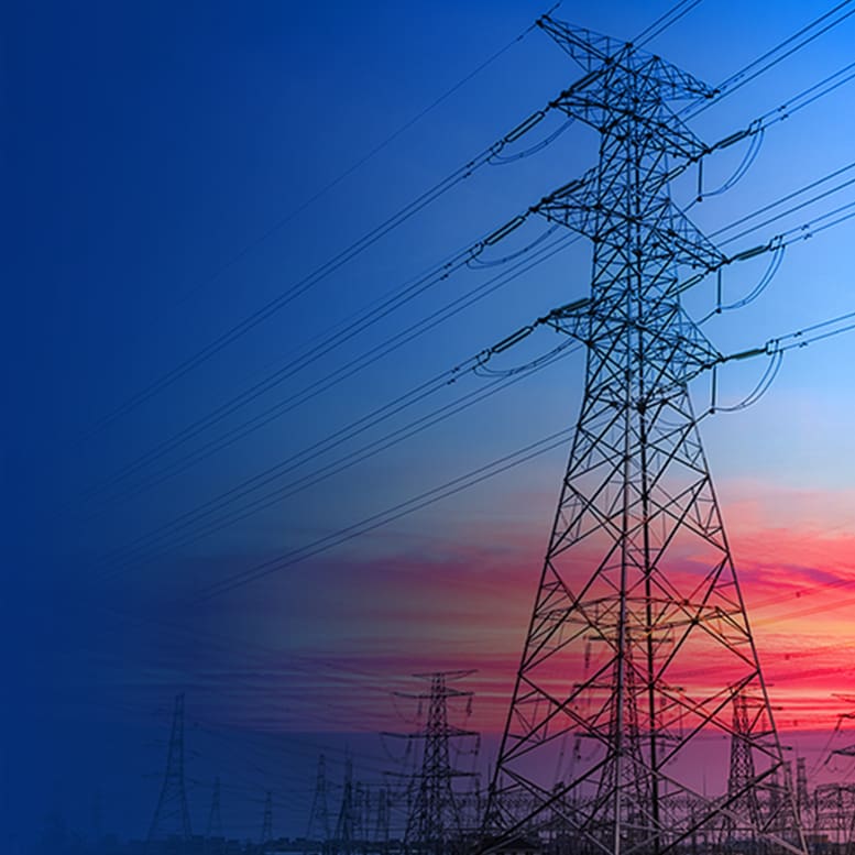 Houston Rodeo Cook Off 2026 | Netsync