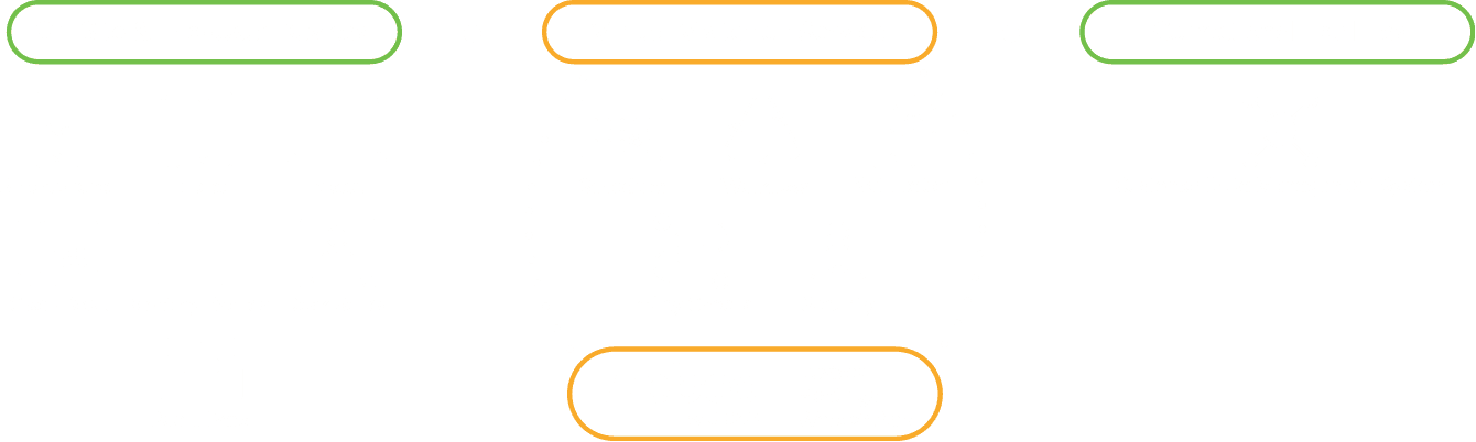 Virtual Visitation | Netsync